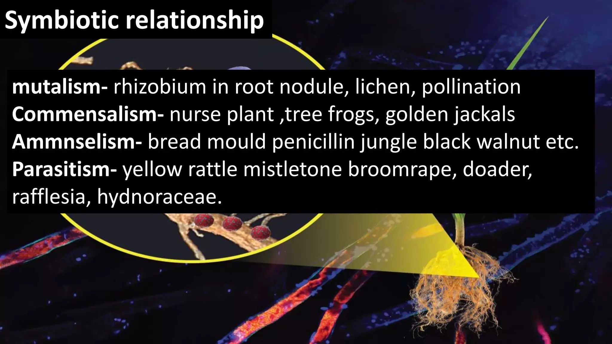 plant microbes interaction.pptx