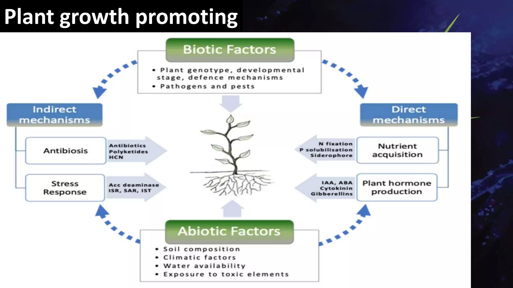 plant microbes interaction.pptx