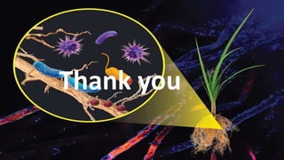 plant microbes interaction.pptx