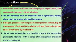 plant microbes interaction.pptx