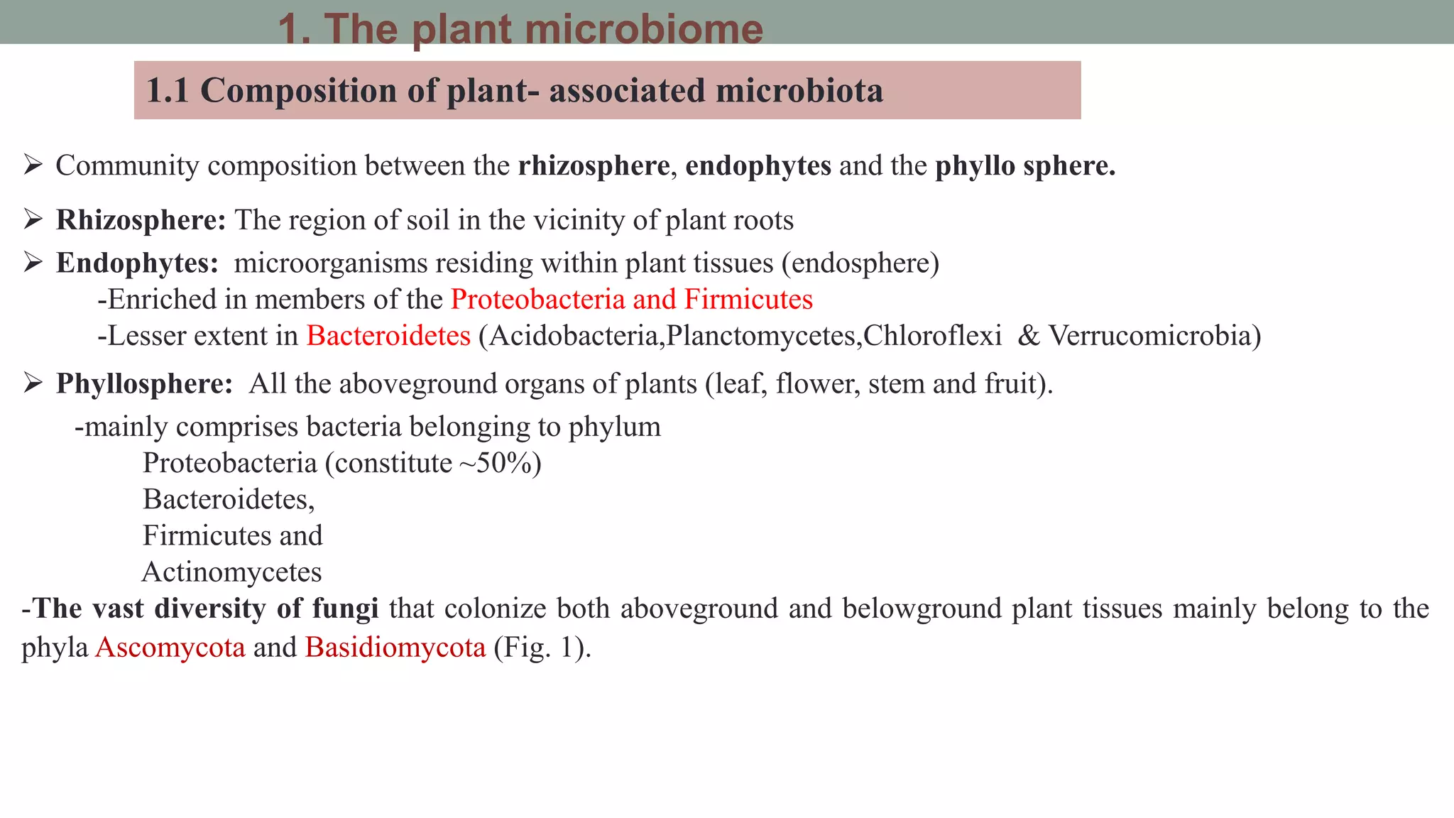 Plant microbe interaction review ppt | PPTX