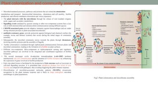Plant microbe interaction review ppt | PPTX