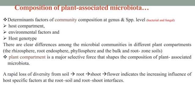 Plant microbe interaction review ppt | PPTX