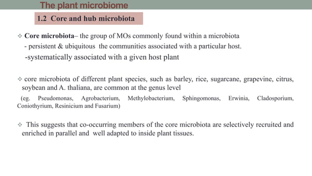 Plant microbe interaction review ppt | PPTX