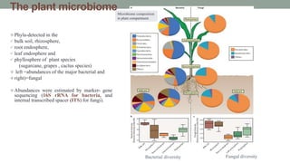 Plant microbe interaction review ppt | PPTX
