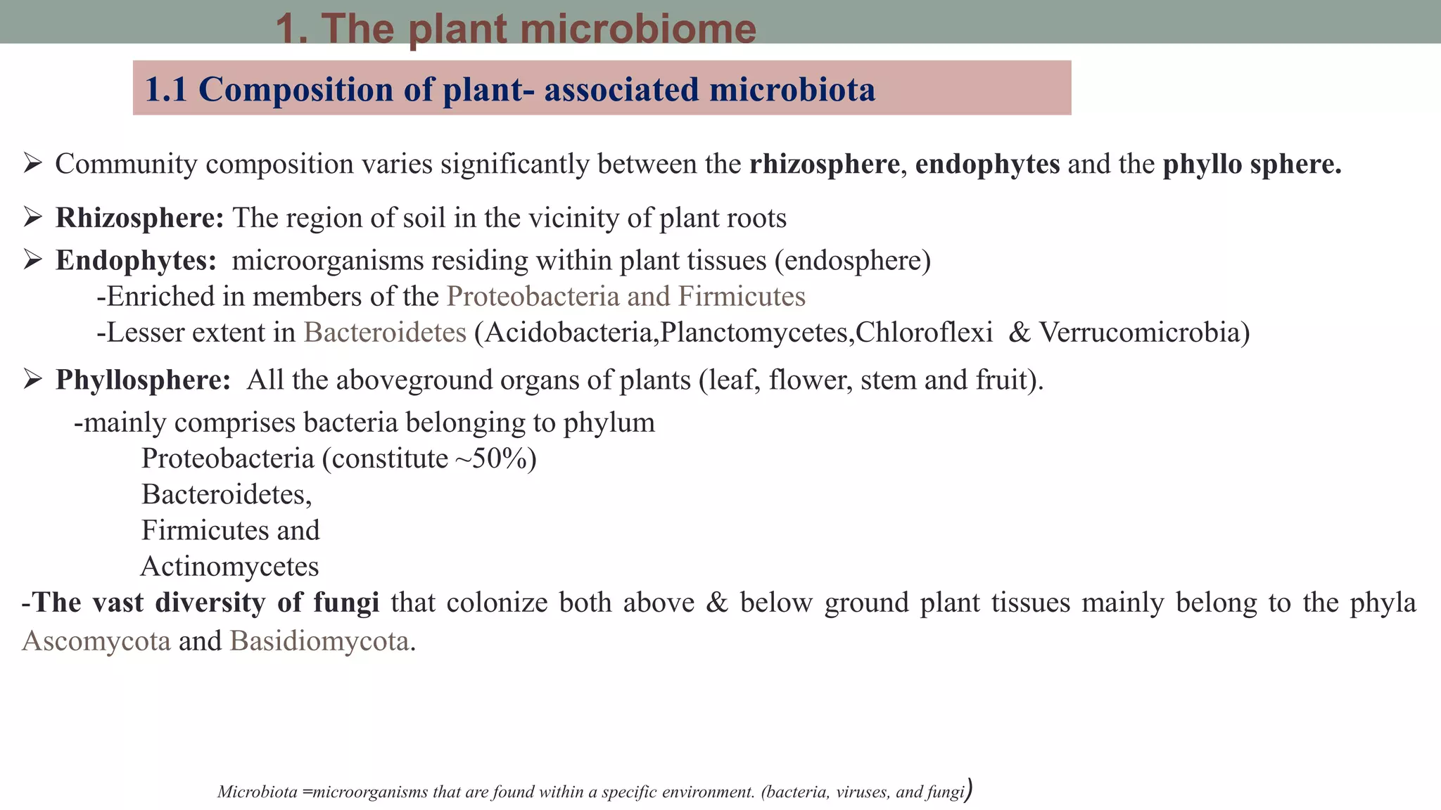 Plant–microbiome interactions seminar review.pptx