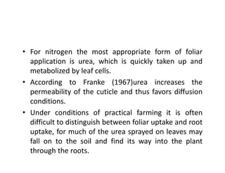 Plant Mineral Nutrients part III botany.pdf | Free Download