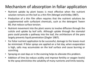 Plant Mineral Nutrients part III botany.pdf