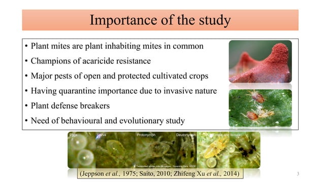Plant Mites and Sociality_ life types in mites | PPT