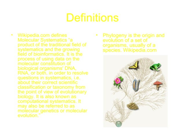 Plant Molecular Systematics Phylogenetics.ppt