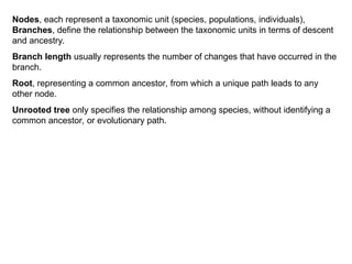 Plant Molecular Systematics Phylogenetics.ppt