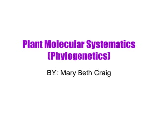 Plant Molecular Systematics Phylogenetics.ppt