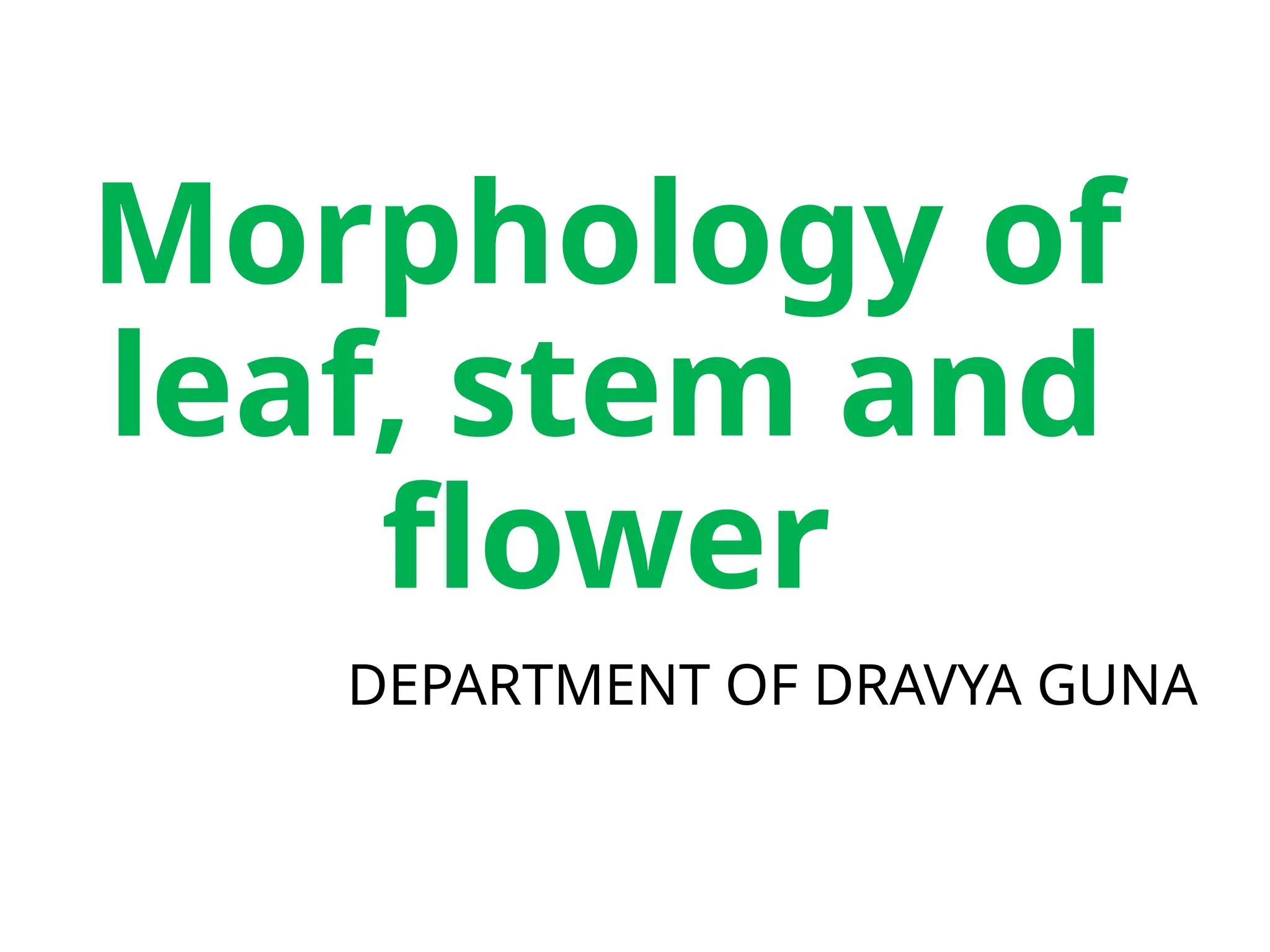 plant morphology of lead, steam, flower.. | PPTX