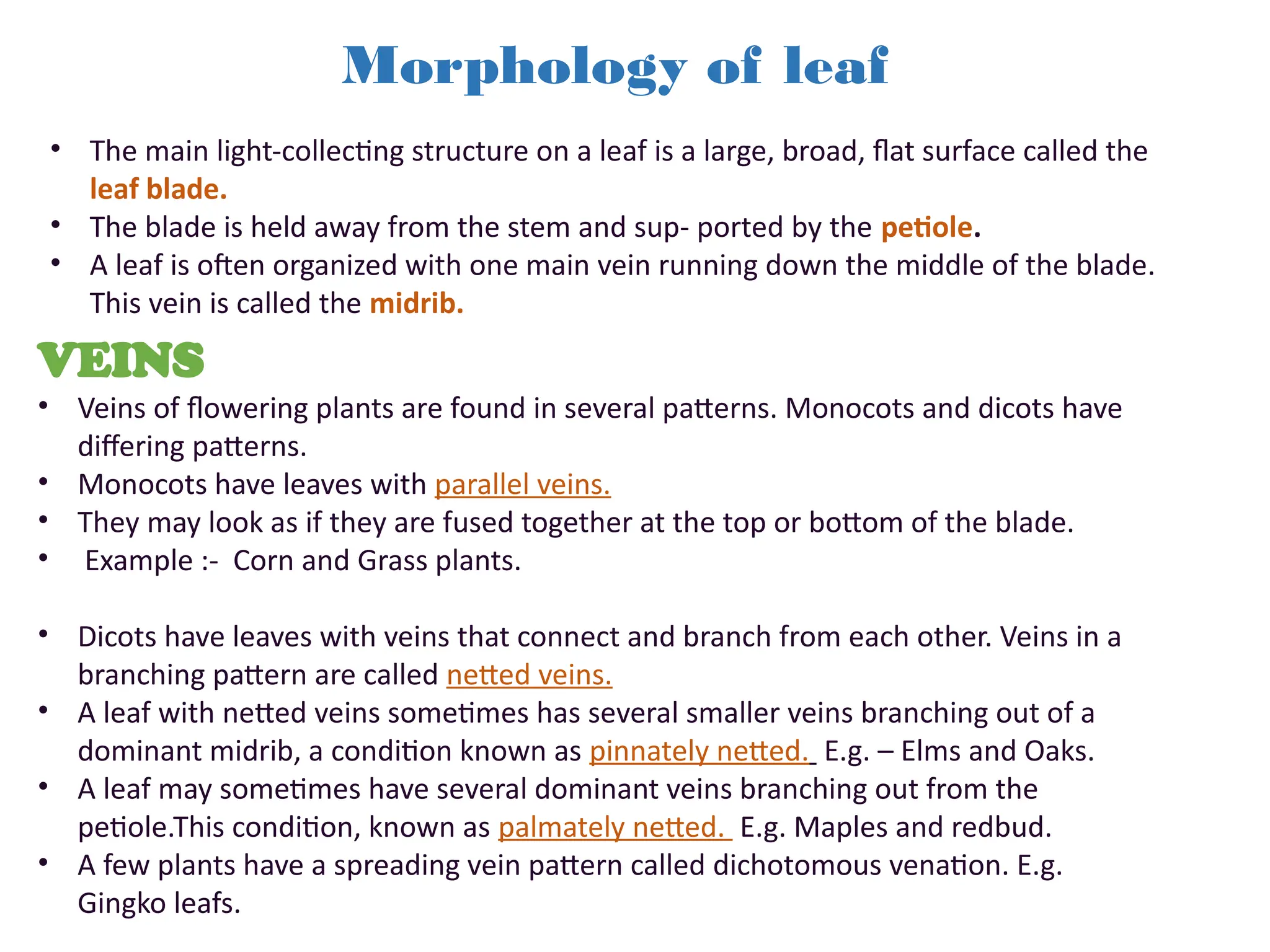plant morphology of lead, steam, flower.. | PPTX
