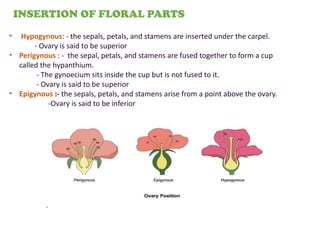plant morphology of lead, steam, flower.. | PPTX