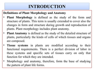 short note plant morphology and anatomy | PPTX