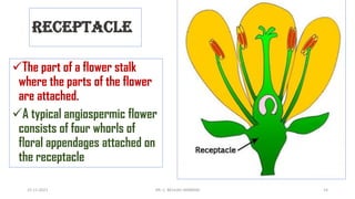 Plant morphology flower-converted | PDF