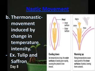 Plant movement | PPT