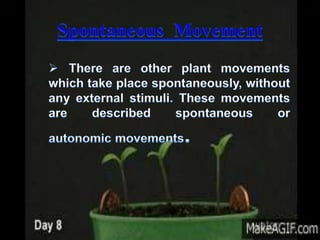 Plant movement | PPT
