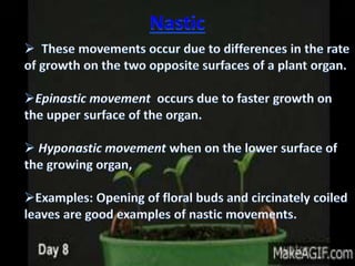 Plant movement | PPT
