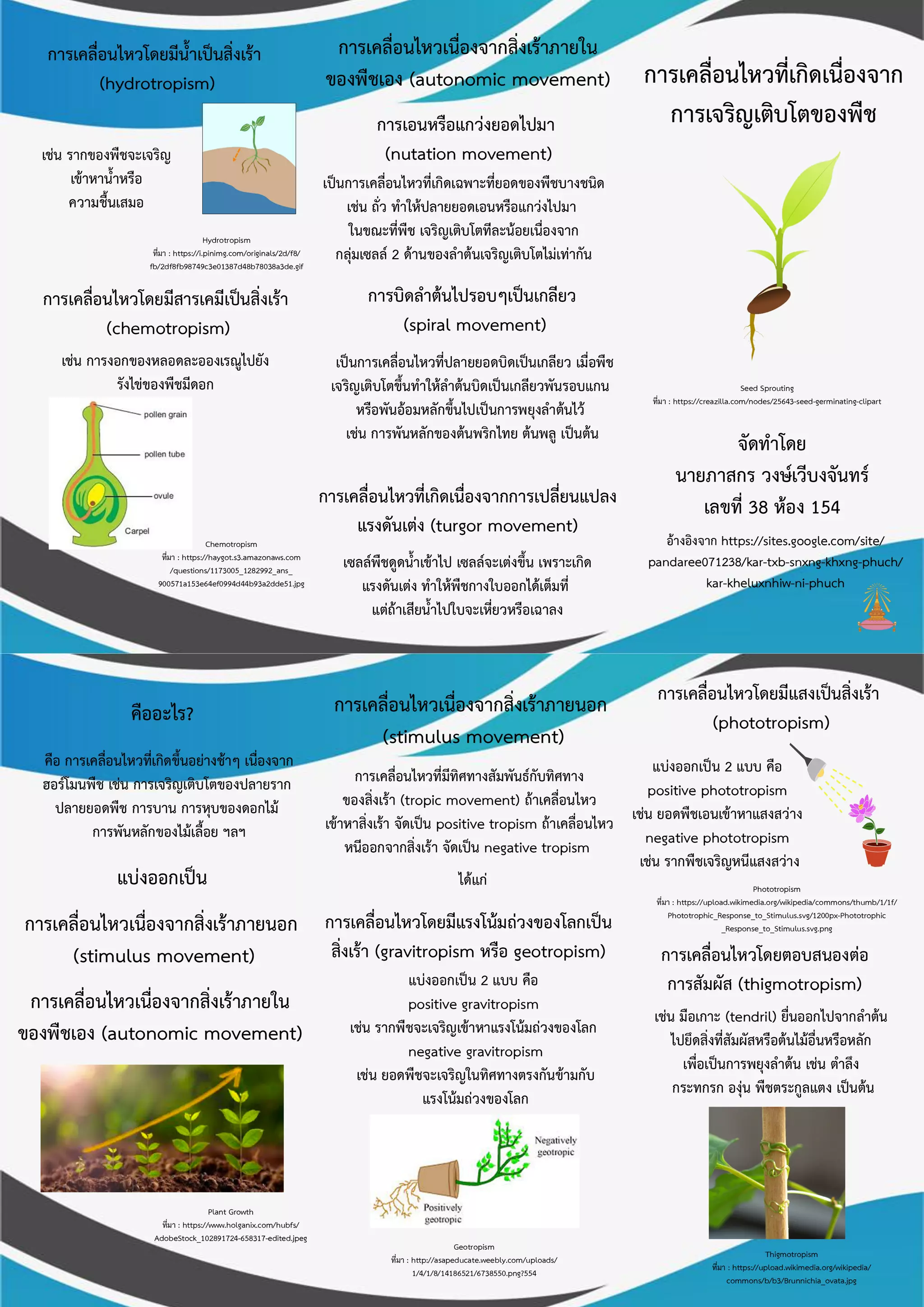 leaflet_pasakorn_38_154_bio | PDF