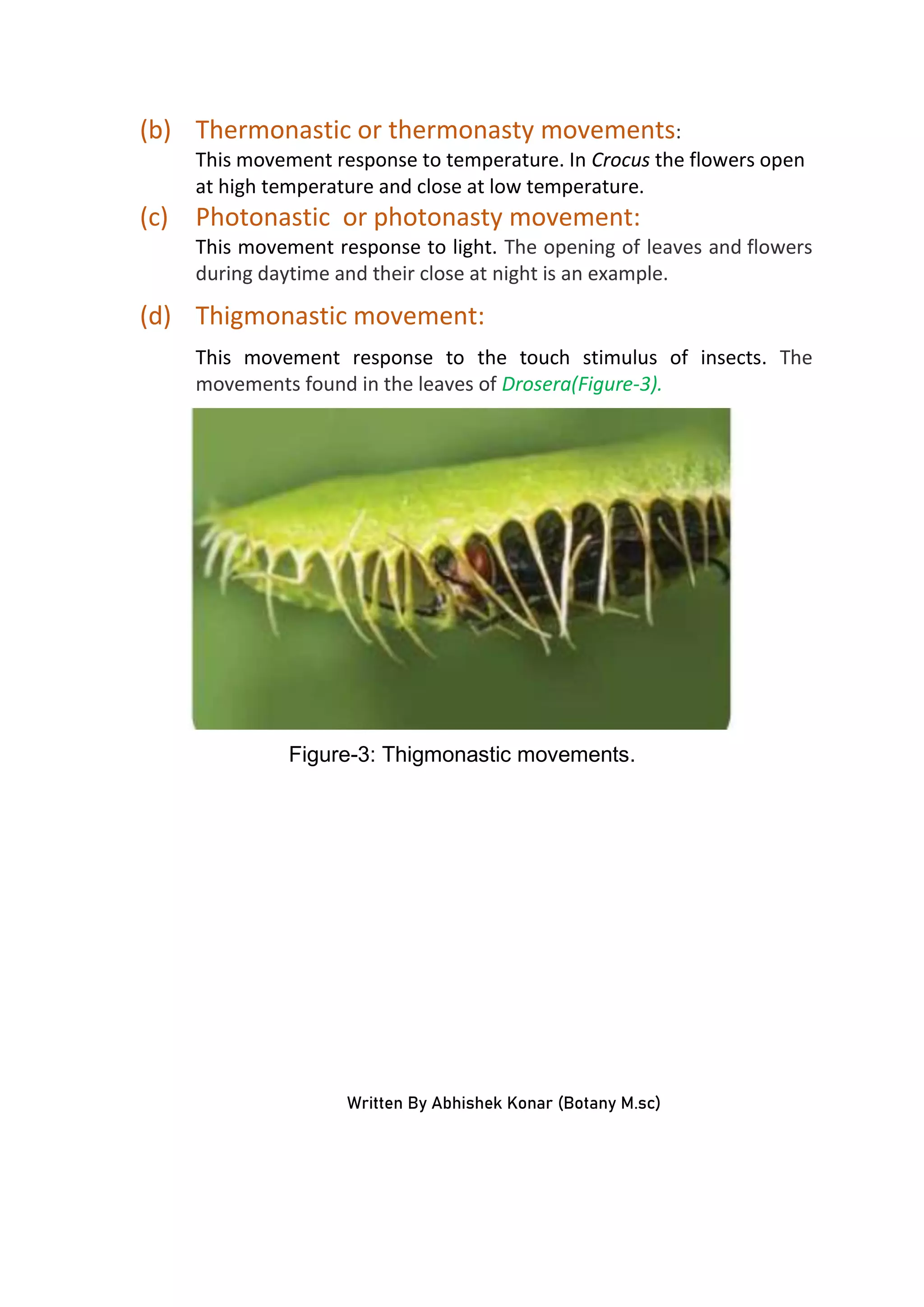 Plant movement | PDF