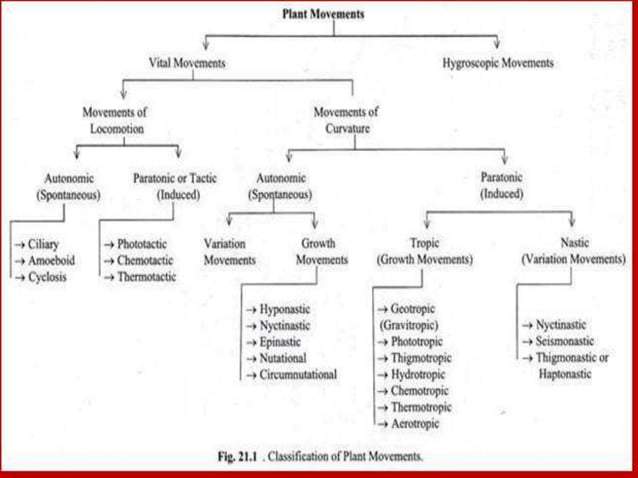 Plant movement - tropic (phototropic and geotropic) and nastic ...