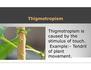 Plant movements | PDF | Gardening | Home & Garden