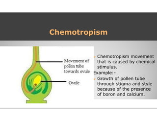 Plant movements | PDF | Gardening | Home & Garden