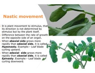 Plant movements | PDF | Gardening | Home & Garden