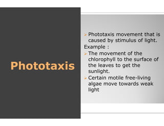 Plant movements | PDF | Gardening | Home & Garden