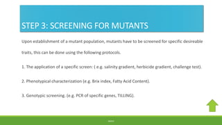 Breeding Plants using Chemical Mutagens | PPT