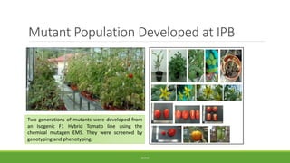 Breeding Plants using Chemical Mutagens | PPTX