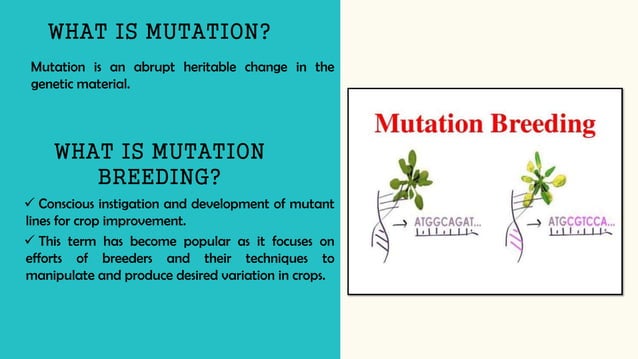 Plant mutation breeding | PPT