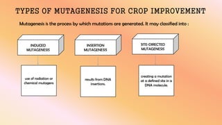 Plant mutation breeding | PPTX
