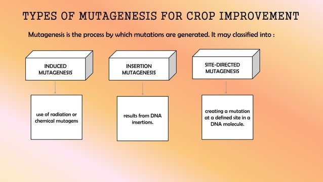 Plant mutation breeding | PPT