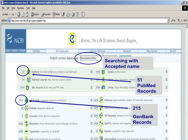 Plant names: Obstacles and Solutions to access information about plants ...