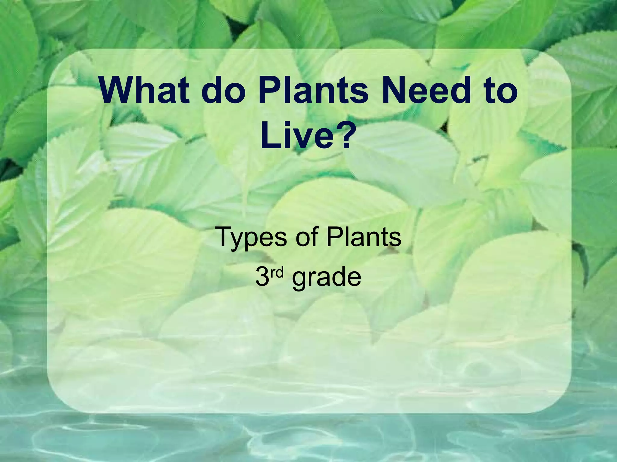 What do plants need | PPT