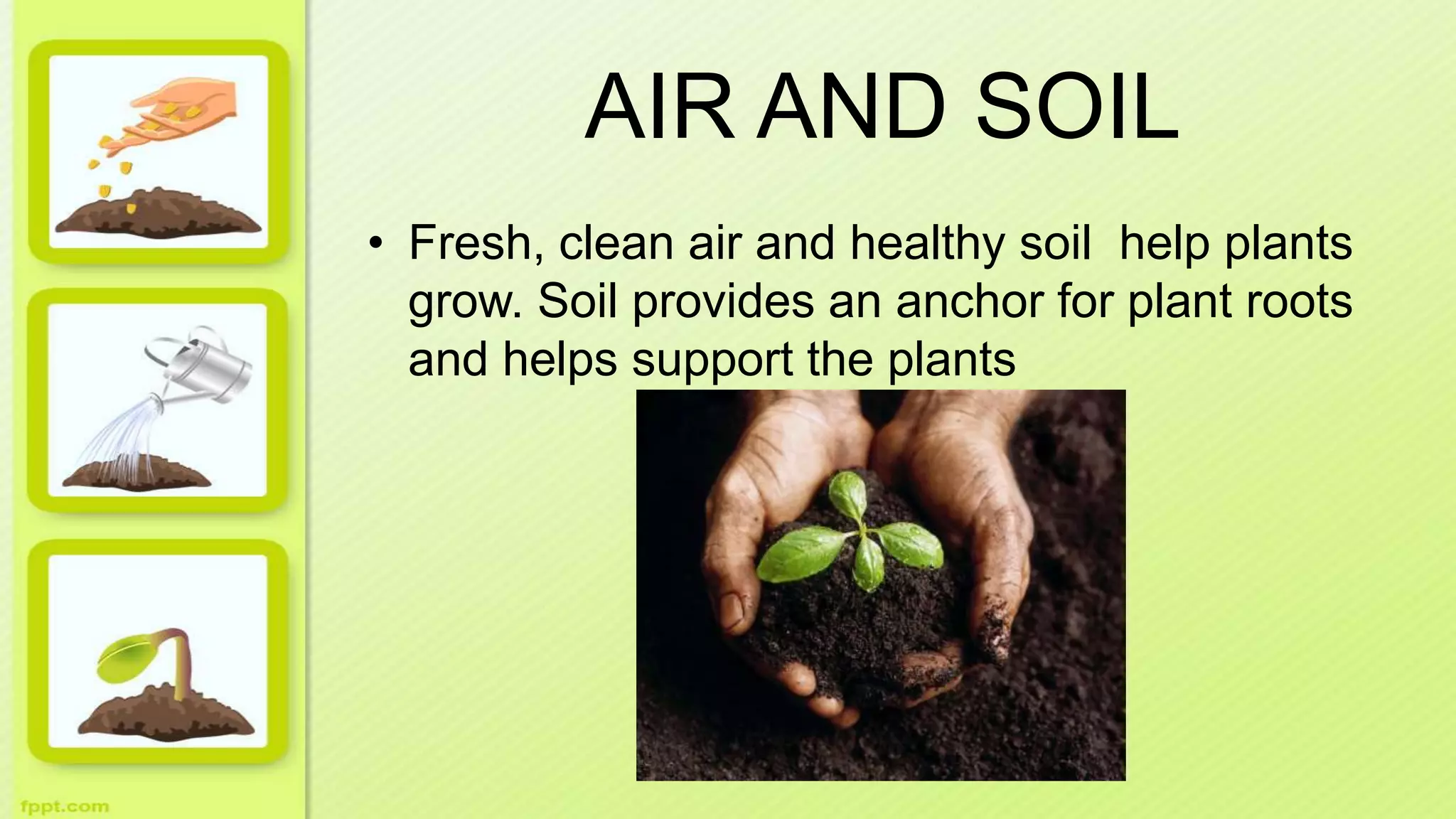 Plant needs | PPTX