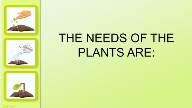 Plant need | PPT