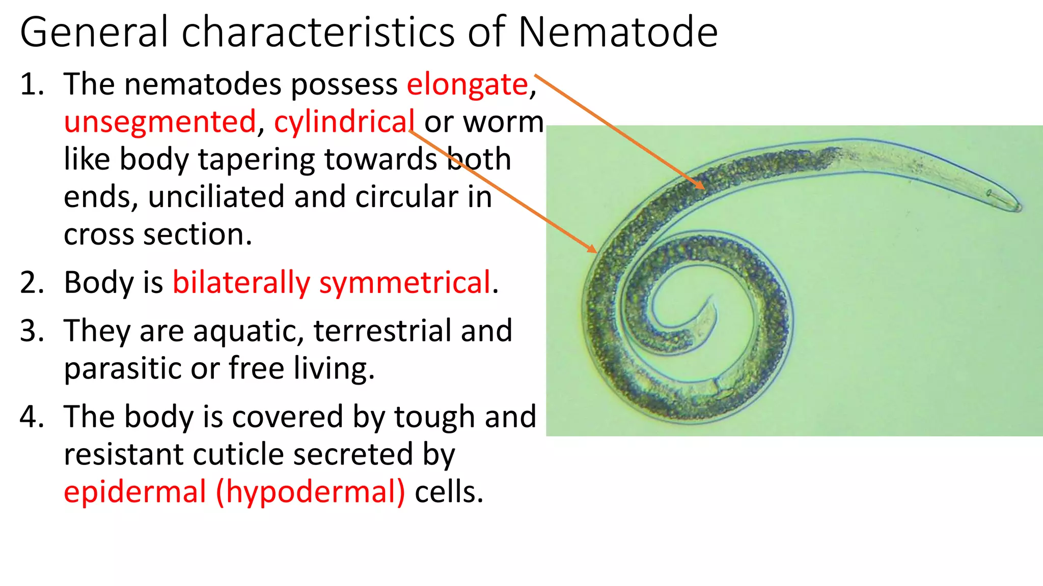 Plant Nematology.pptx