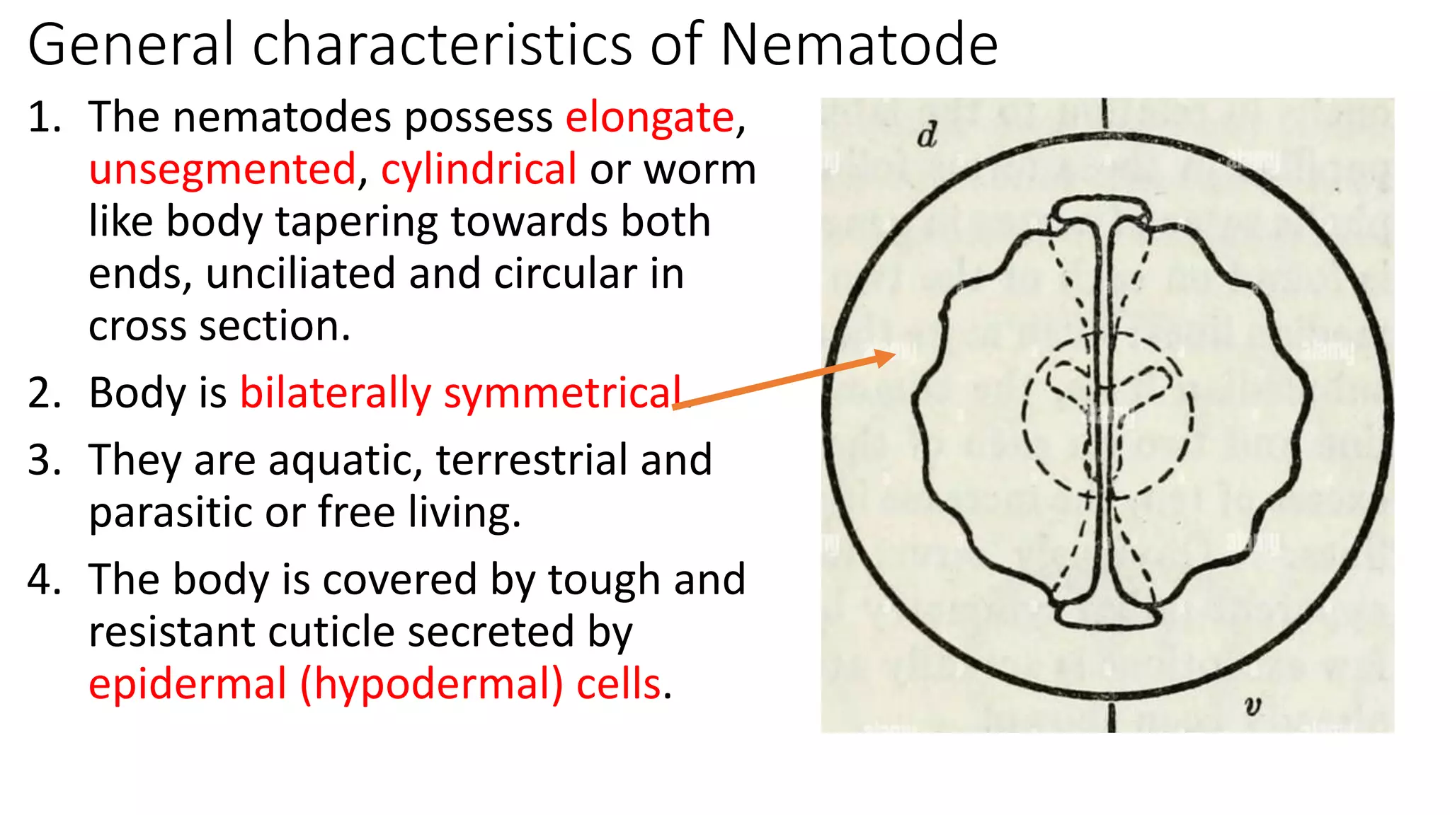 Plant Nematology.pptx