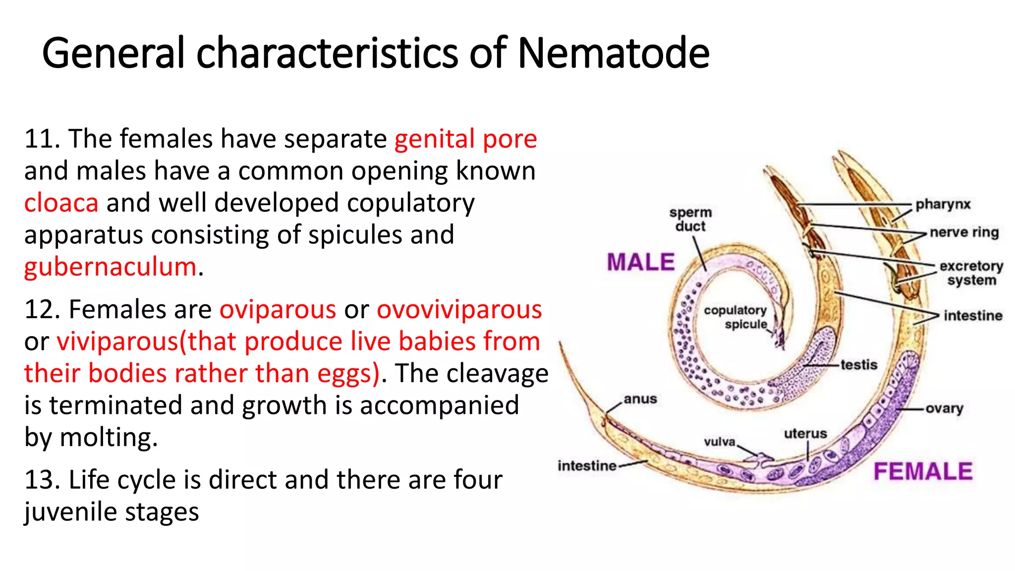 Plant Nematology.pptx