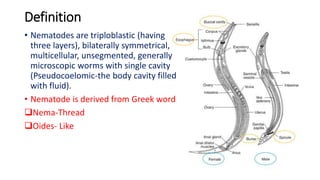 Plant Nematology.pptx