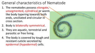 Plant Nematology.pptx