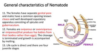 Plant Nematology.pptx