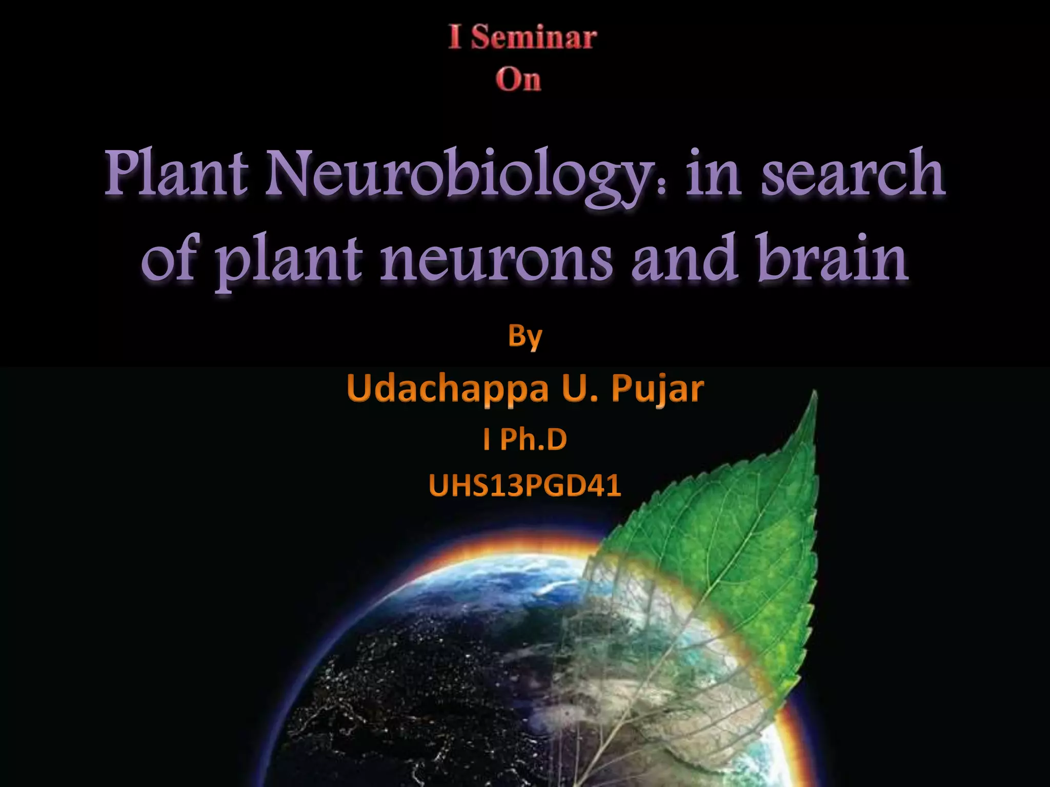 Plant neurobiology by uup | PPSX | Gardening | Home & Garden