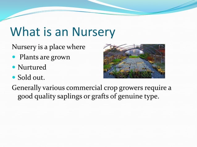 Plant nursery basics | PPTX | Agriculture | Industries