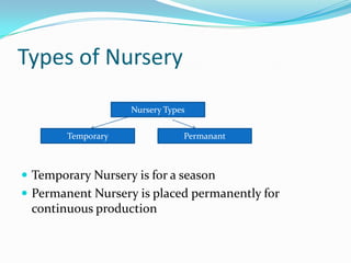 Plant nursery basics | PPTX