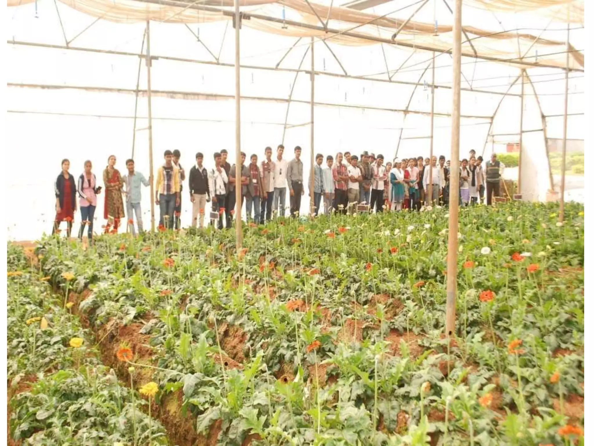 Plant nursery industry | PPT